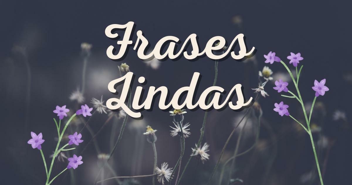 Frases lindas - Pensador