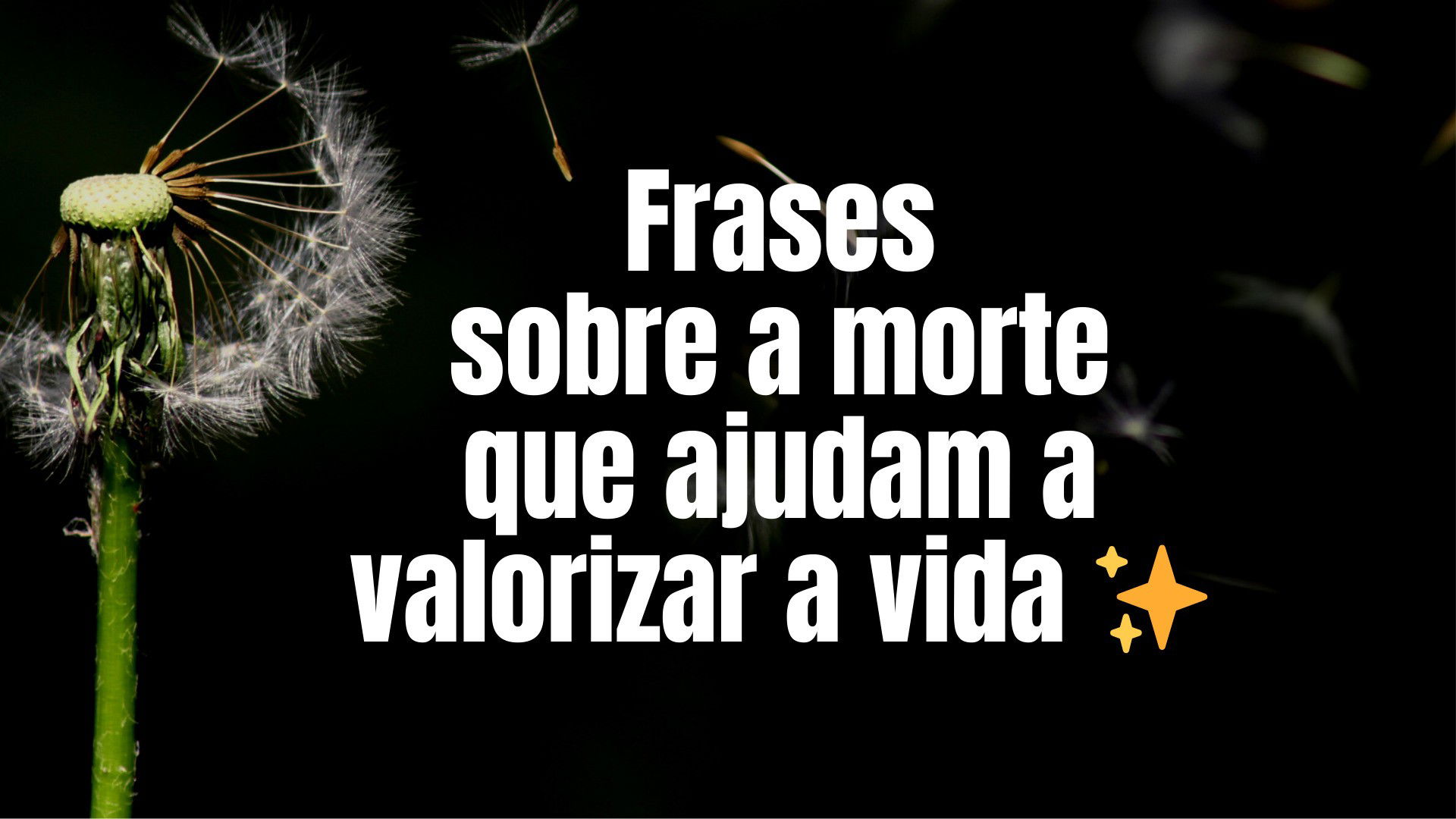 Frases sobre a morte que ajudam a valorizar a vida - Pensador