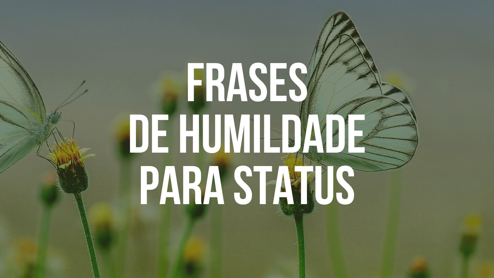 53 frases de humildade para status que inspiram uma vida melhor - Pensador