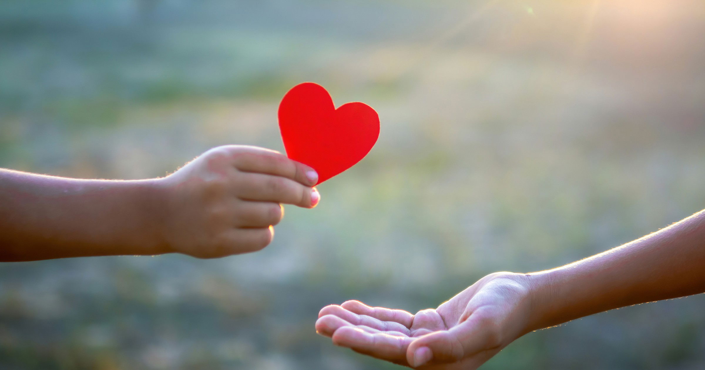 Seja grato: frases para lembrar de agradecer todos os dias - Pensador