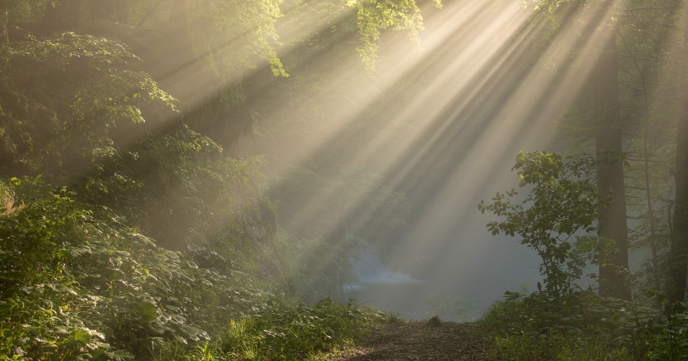 Raio de sol: frases que inspiram seu dia - Pensador